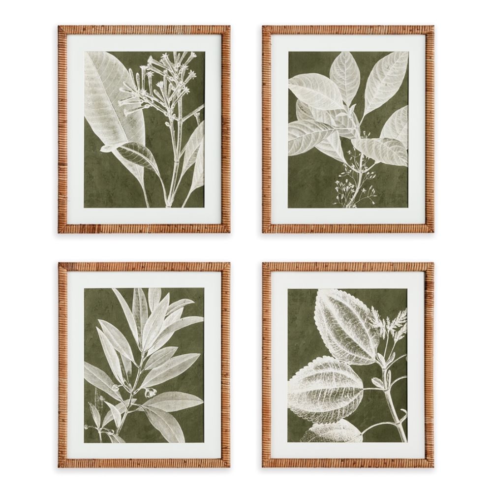 Nature Art - Set of 4 Olive Green Translucent Stem Prints – BSEID